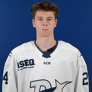 Hockey M D1 - Dynamiques